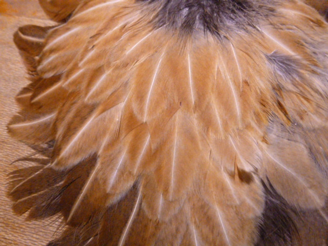 SOFT~HACKLE JOURNAL: PMD - Red Quill