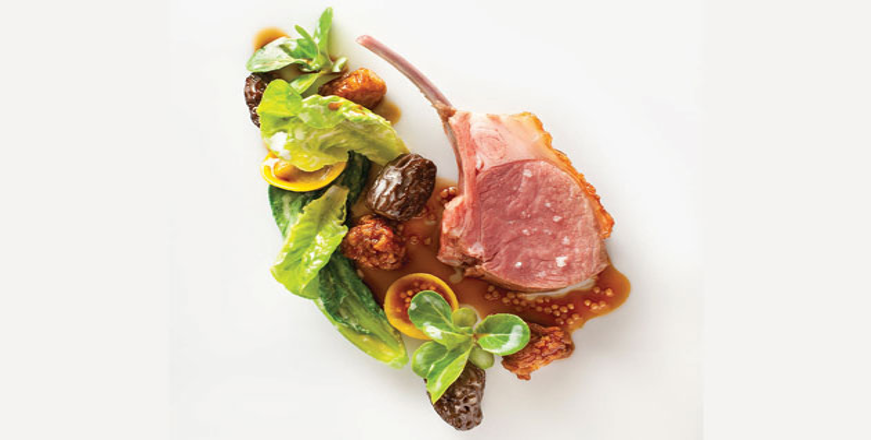 CHEF Q: Food Plating Concepts