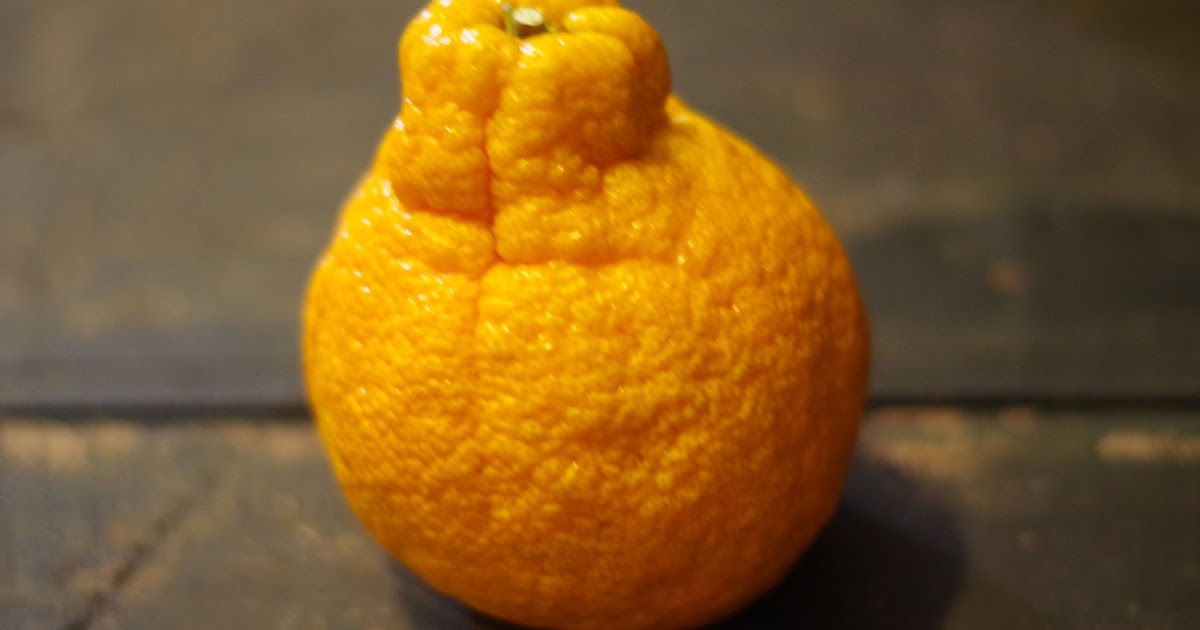The Viking Chef: Sumo Oranges