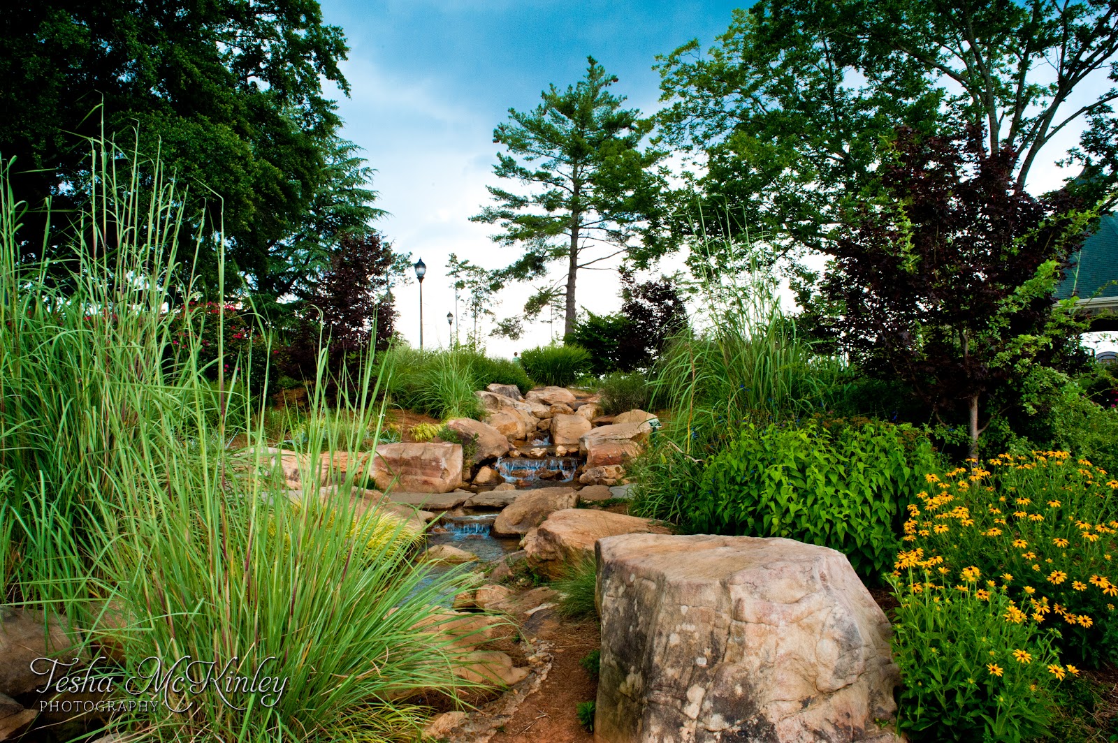 Tesha McKinley Photography: Legacy Park