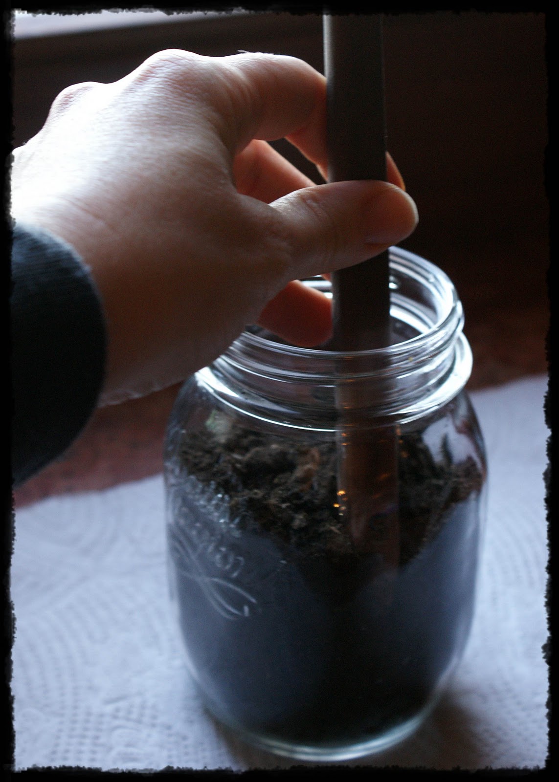 Creative Compulsive: Lucky Beans