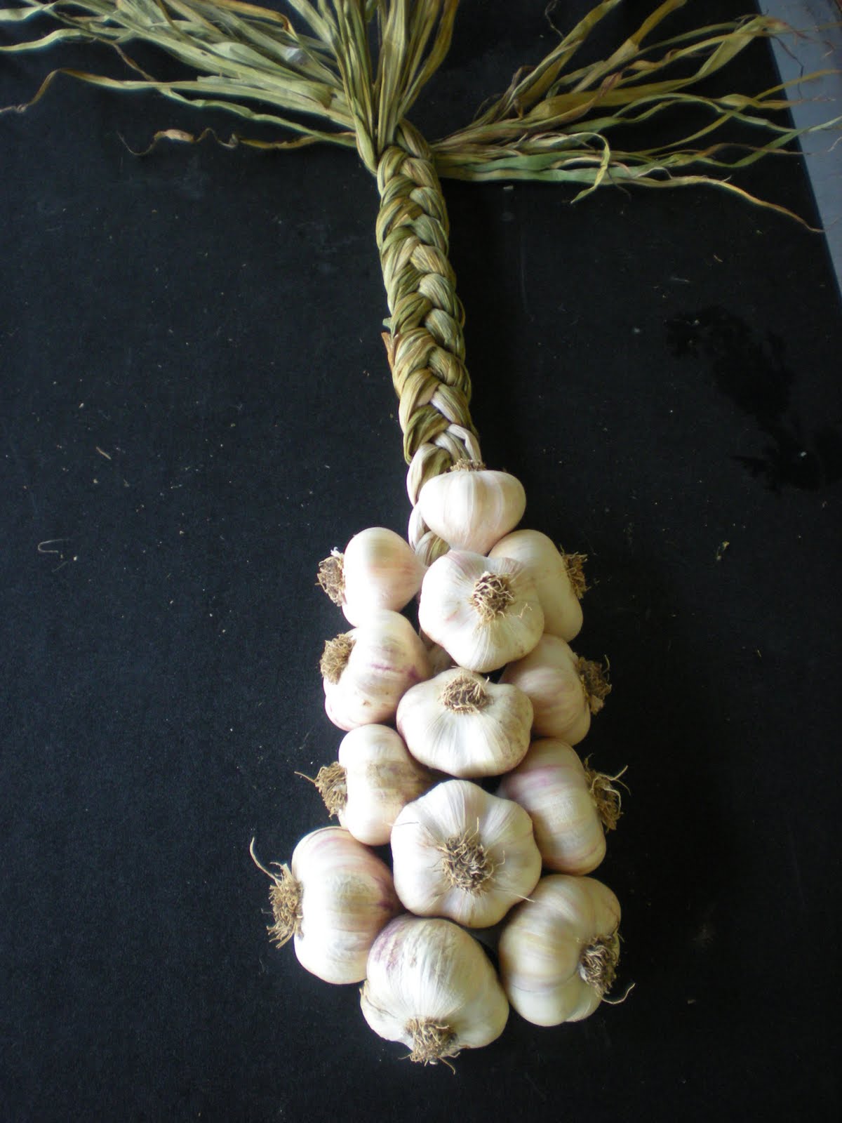 Mountaindale Farms: Its Garlic Braiding Time............