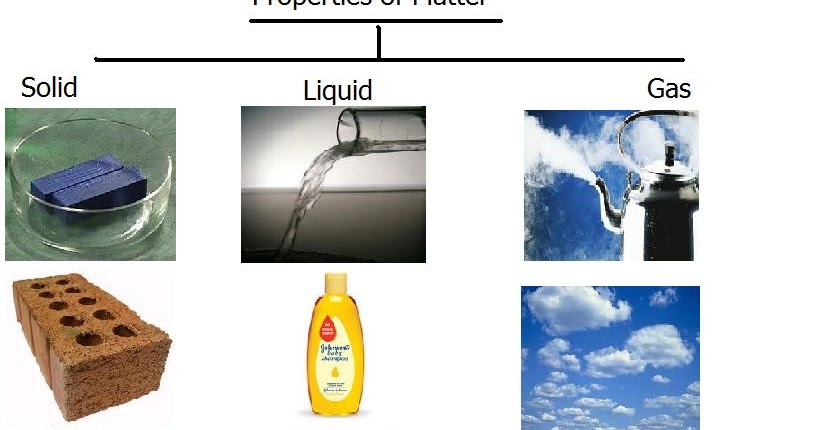 Thinking Maps: Thinking Map - Properties of Matter Tree Map Example ...