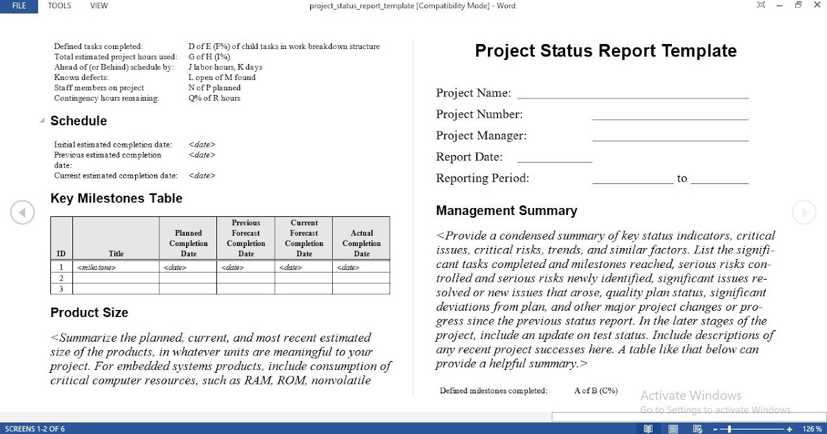 Project Status Report Template - Software engineering