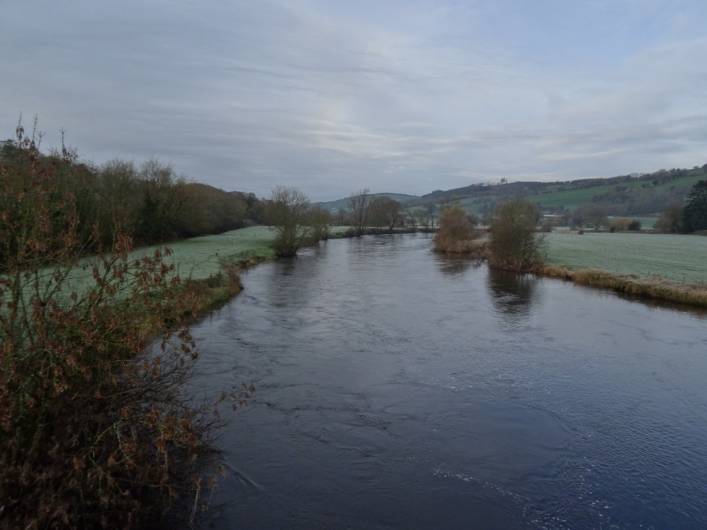 SALMON FISHING IRELAND 2023: Salmon Season 2019 " The Blackwater River