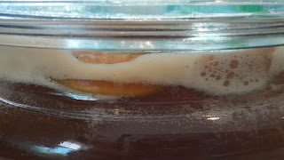 Southern Forager: Honey Locust Persimmon Beer!