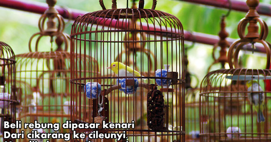 Pantun Betawi: Pantun Betawi Lucu Gokil Jenaka (Part 3)