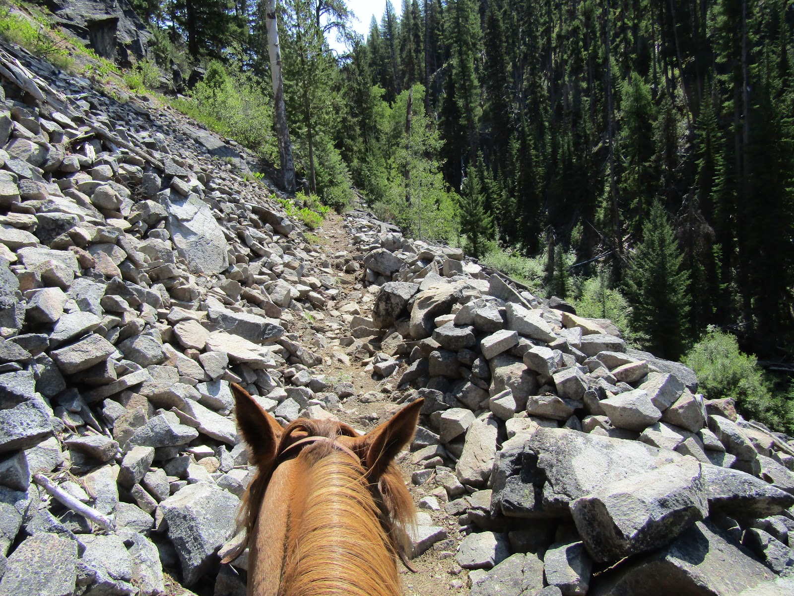 Holly's Horse Tales and Trails: Moss Springs and North Fork John Day ...