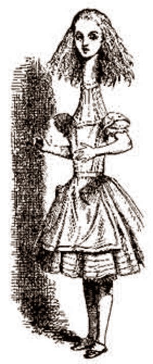 Medical Treatment Pictures-for Better Understanding: Alice in ...