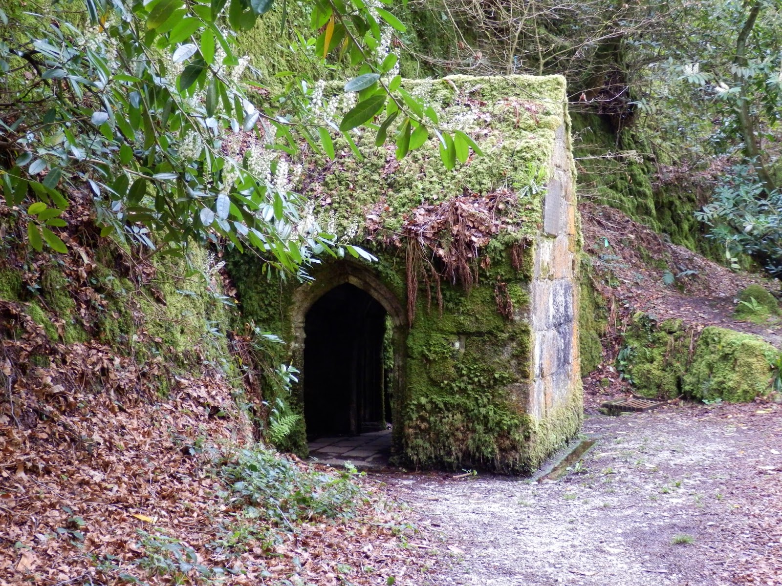 67 Not Out: The Secret Holy Well Of Menacuddle, Cornwall And The Druid ...