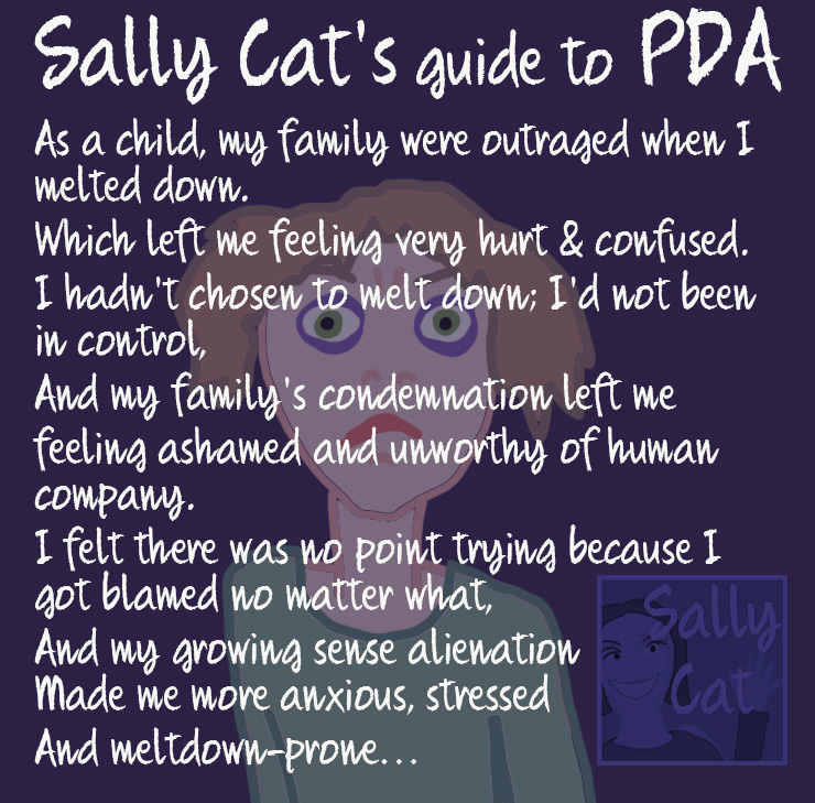 Sally Cat PDA: How I understand PDA (in language kids can understand)
