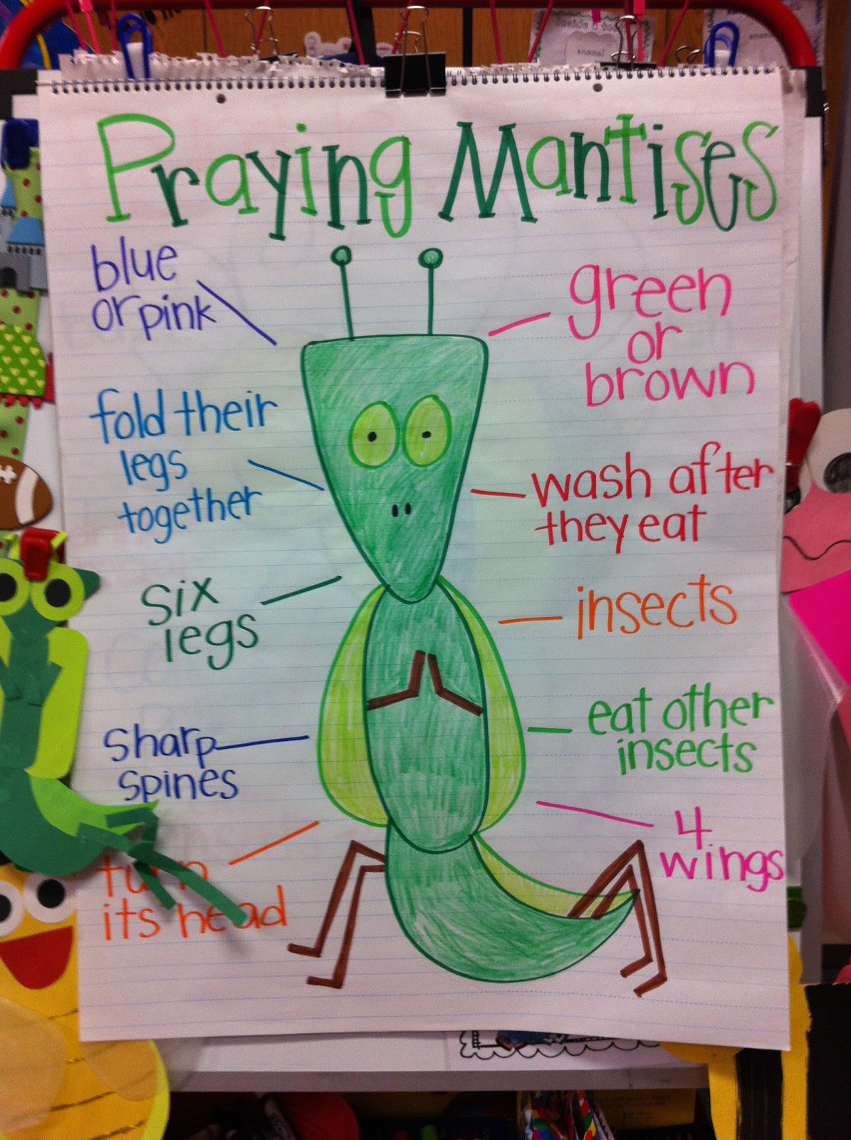 Welcome to Room 36!: insects