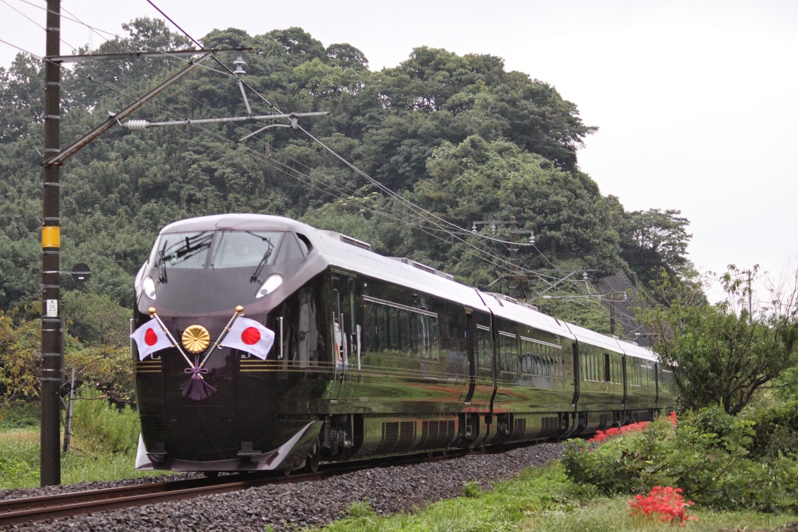 ハマちどり写真帖: 2008／2010年のE655系お召列車