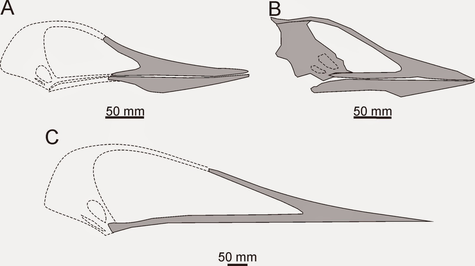 Mesozoic Monsters: Jidapterus: the pterosaur they got upside-down!