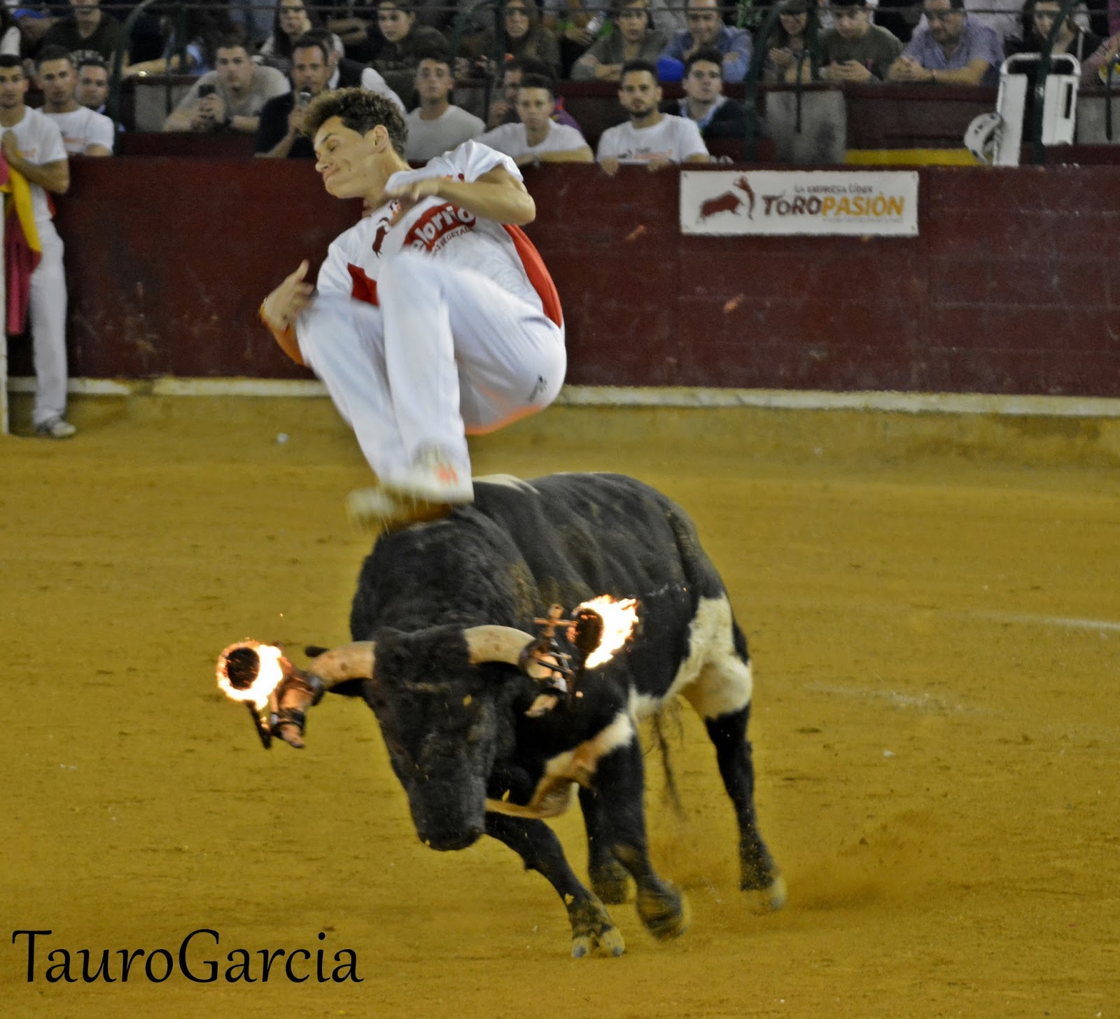 TauroGarcia: Concurso con toros embolados Zaragoza II