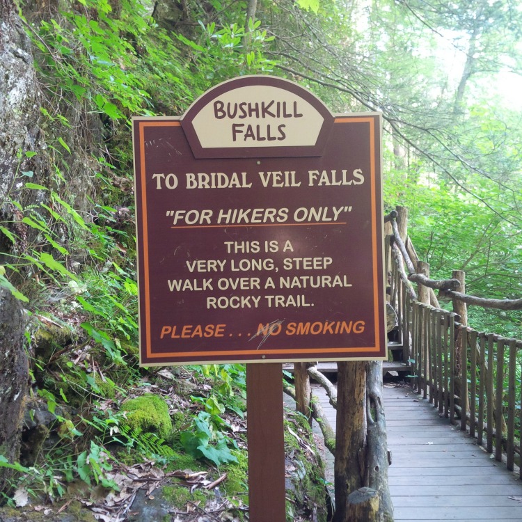 Fairytales and Fitness: Things to know about Hiking Bushkill Falls
