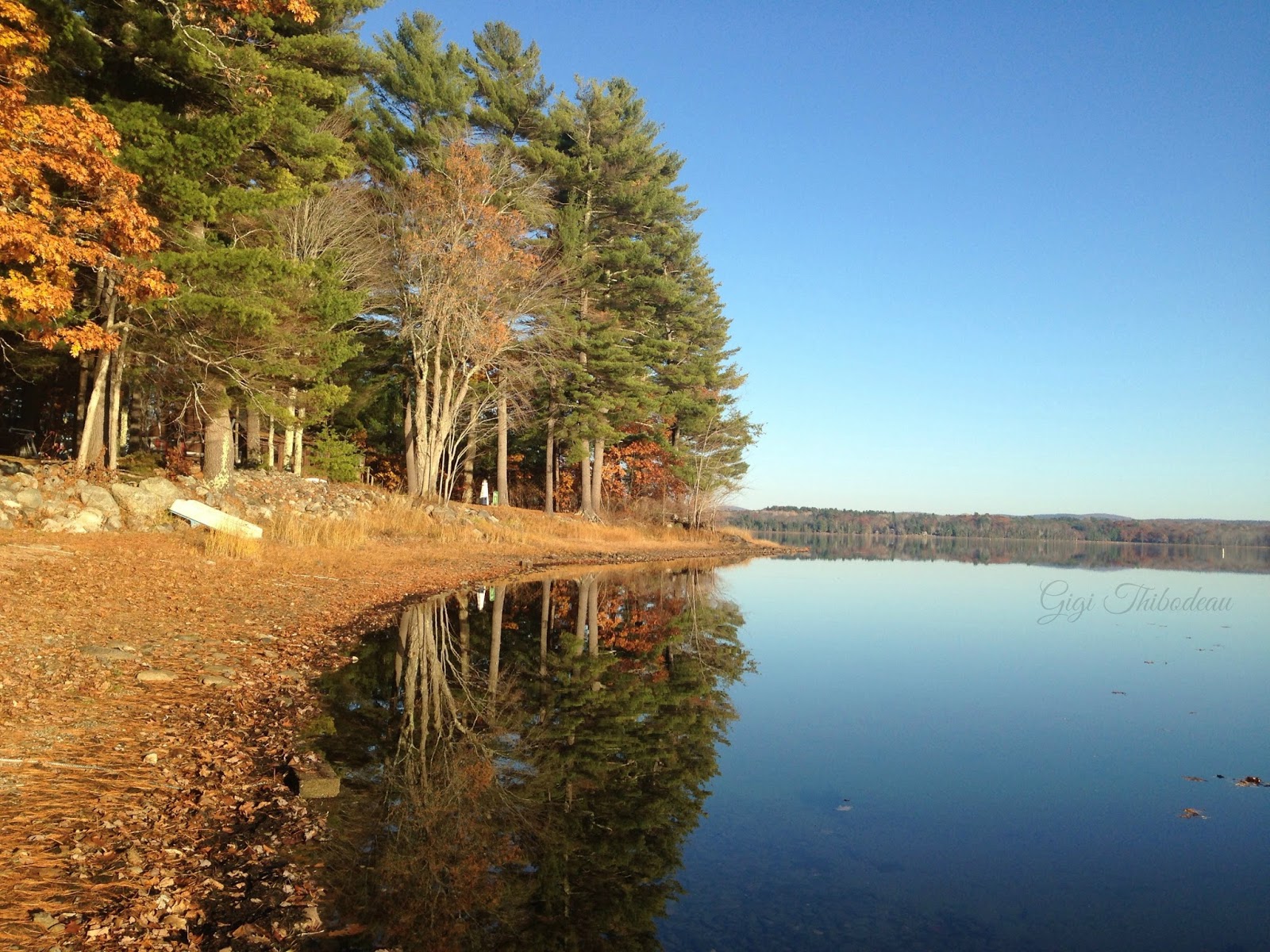 The Magpie's Fancy: Five on Five