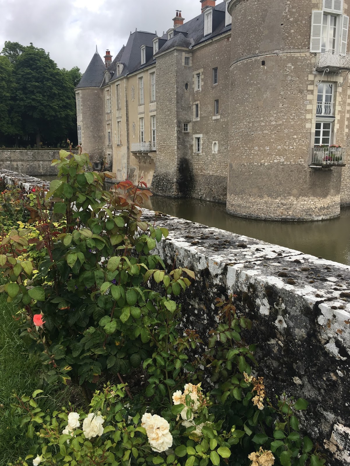 New York Life-Day by Day: Visit to Chateau D'Avaray 2017.The Loire ...