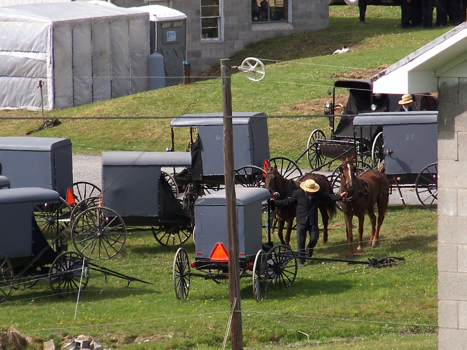 Landscape, Nature and Wildlife Photography done by Angie K. Johnson ...