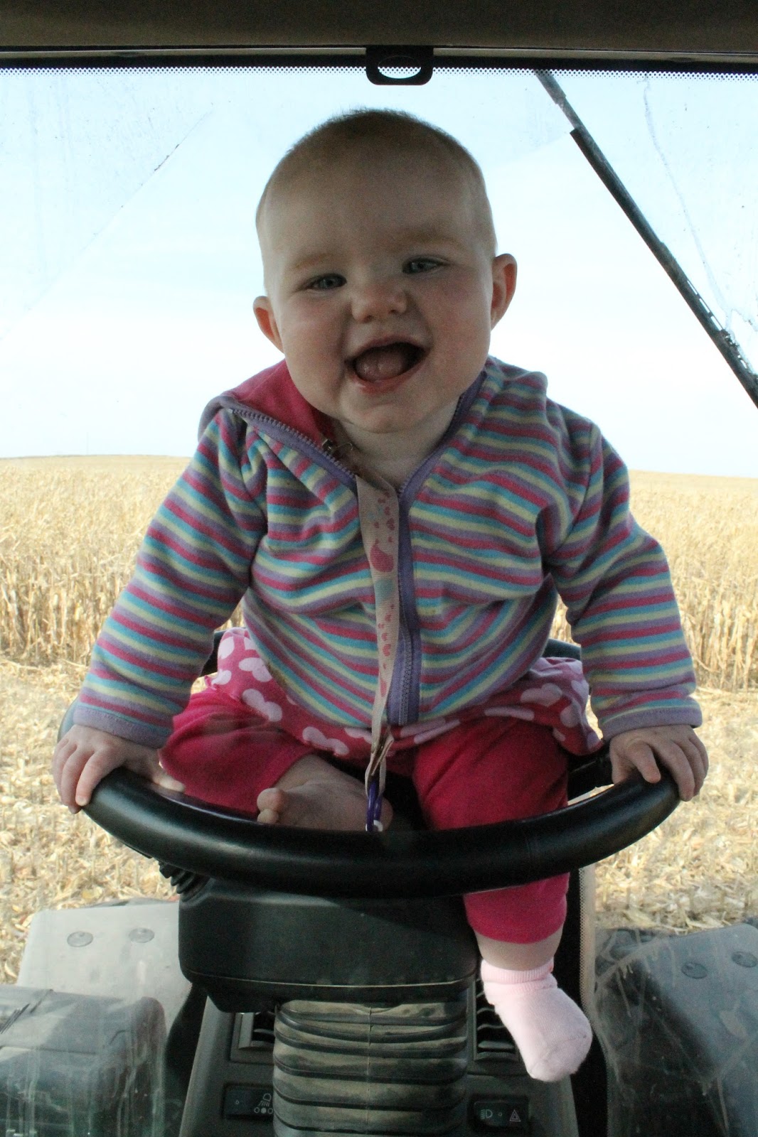 Corn, Beans, Pigs and Kids: What it means to be a FarmHer