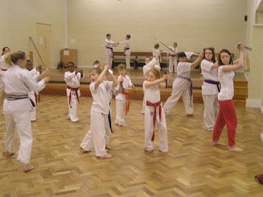Karate club Essex with Sensei Steve Perry with B.M.A.K.G