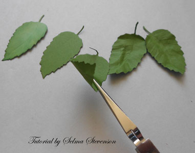 Selma's Stamping Corner and Floral Designs: May 2012