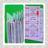 Teaching My Friends!: Name It! A Game FREEBIE