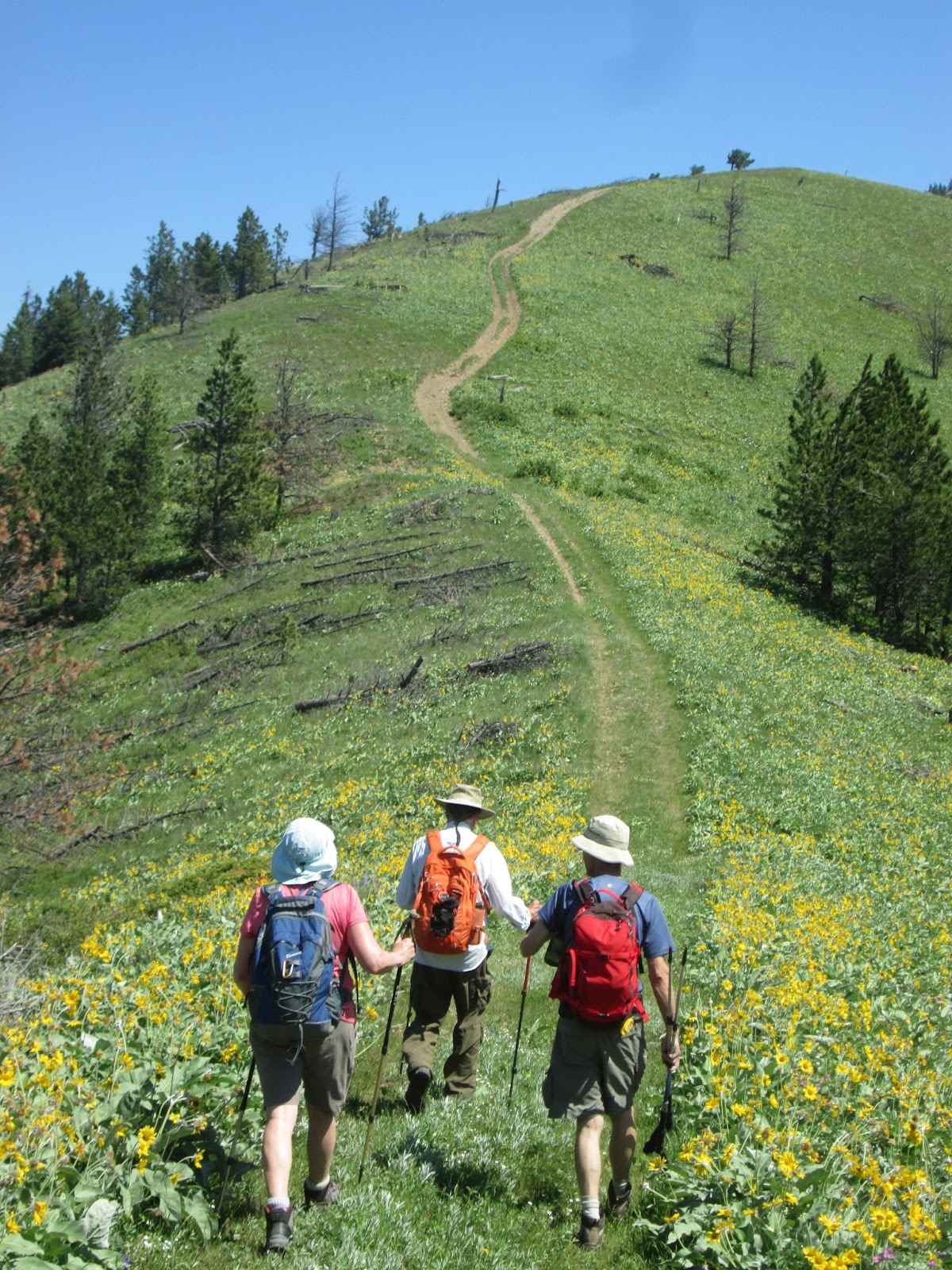 Out there with Tom: North Moccasin, Windy and Wright peaks