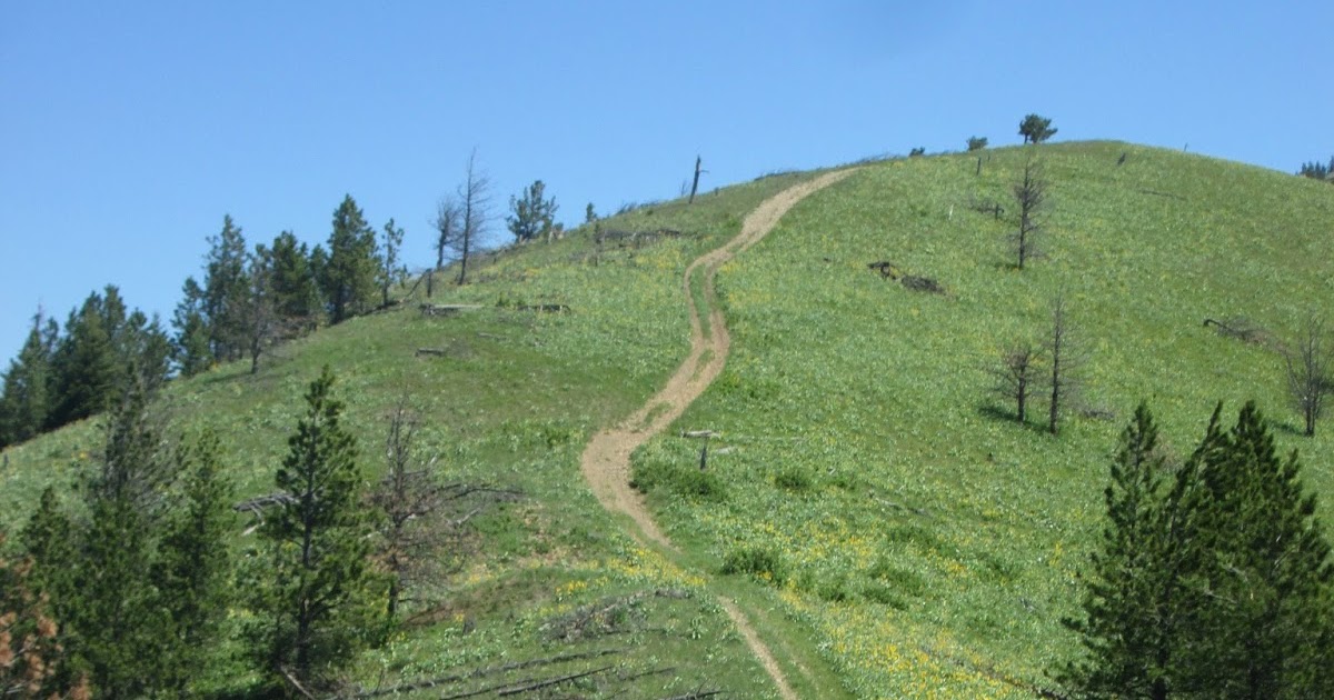 Out there with Tom: North Moccasin, Windy and Wright peaks