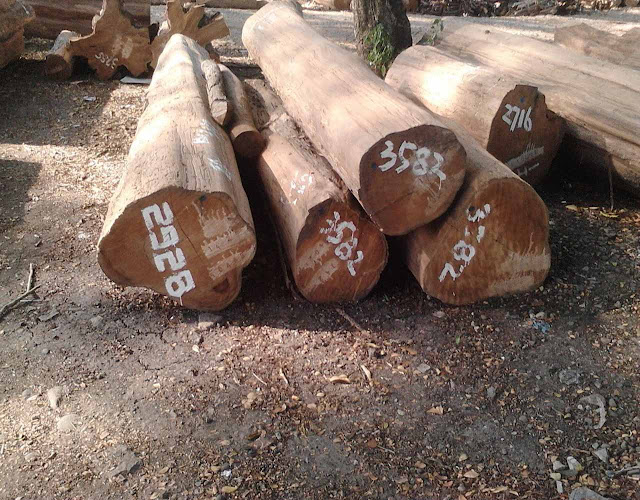 tahapan tahapan mebel jepara - joko loro funiture