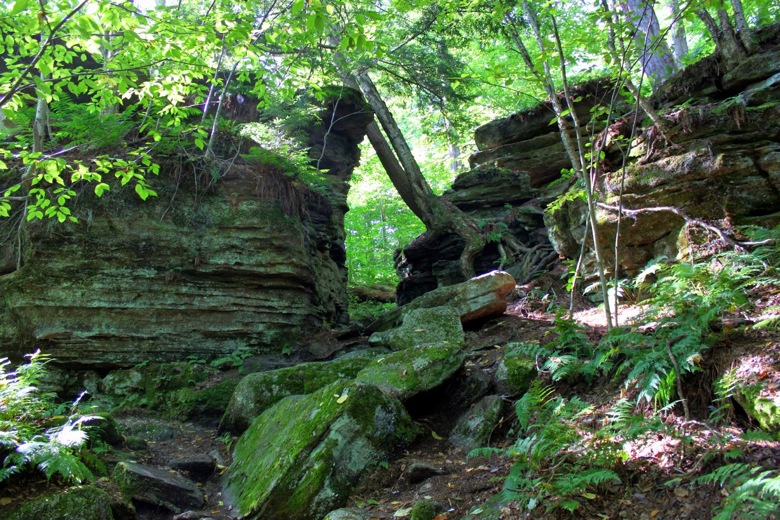 Cool Things Around ELO: Panama Rocks