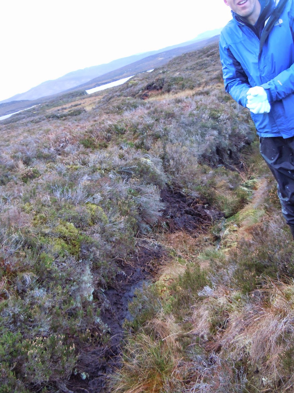 The Wetland Conservation Diary (UK): Water pH experiment on the Migneint