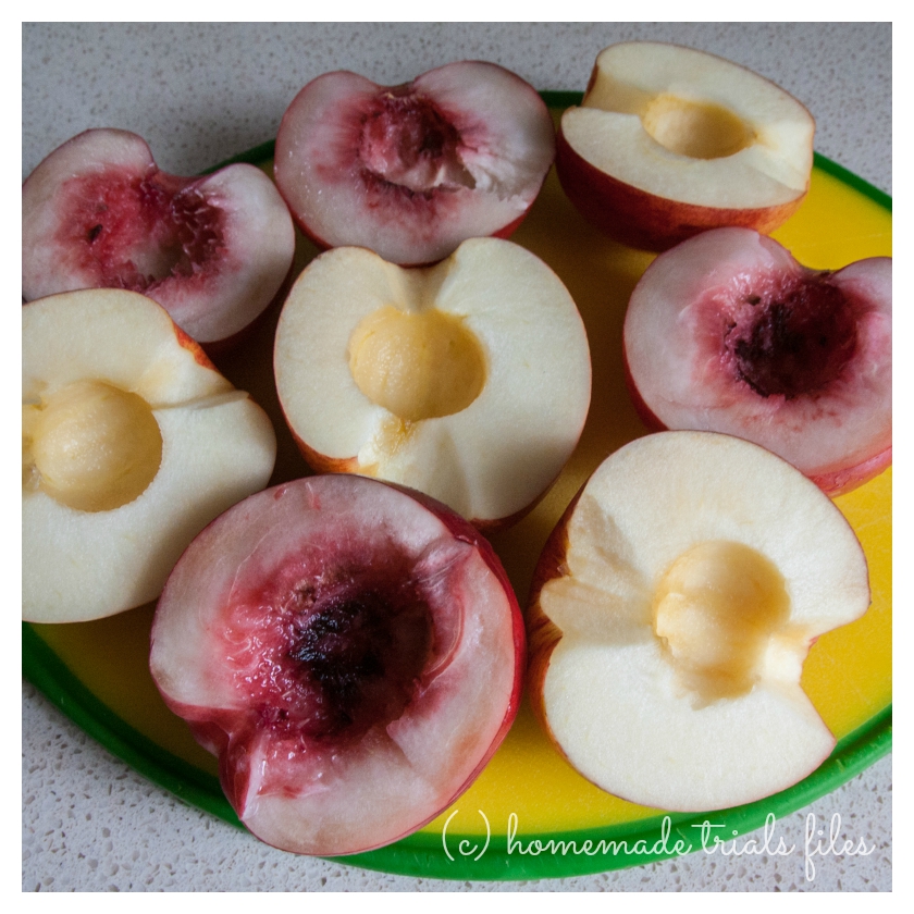 My Homemade Trials Files: {Basic Fruit Purée}