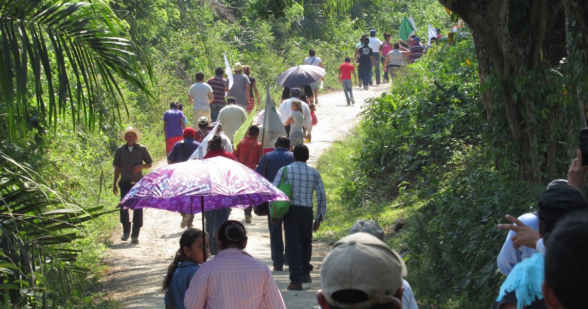 CADEHO CADENA DERECHOS HUMANOS HONDURAS-ALEMANIA: El modelo rentable de ...