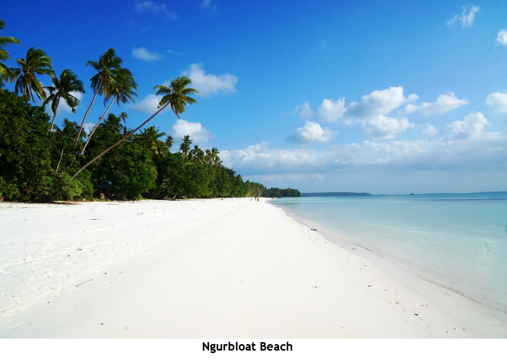 The Beauty Landscape of Indonesia: The Great 20 Beautiful Scenary from ...