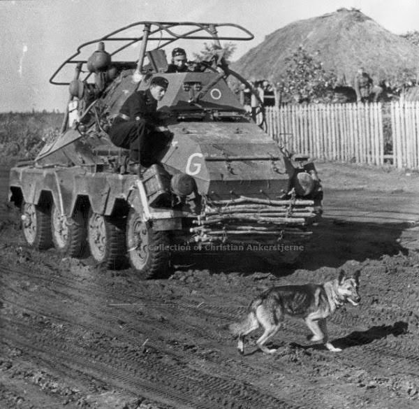 Soviet Hammer: The Soviet Suicide Dogs of WWII