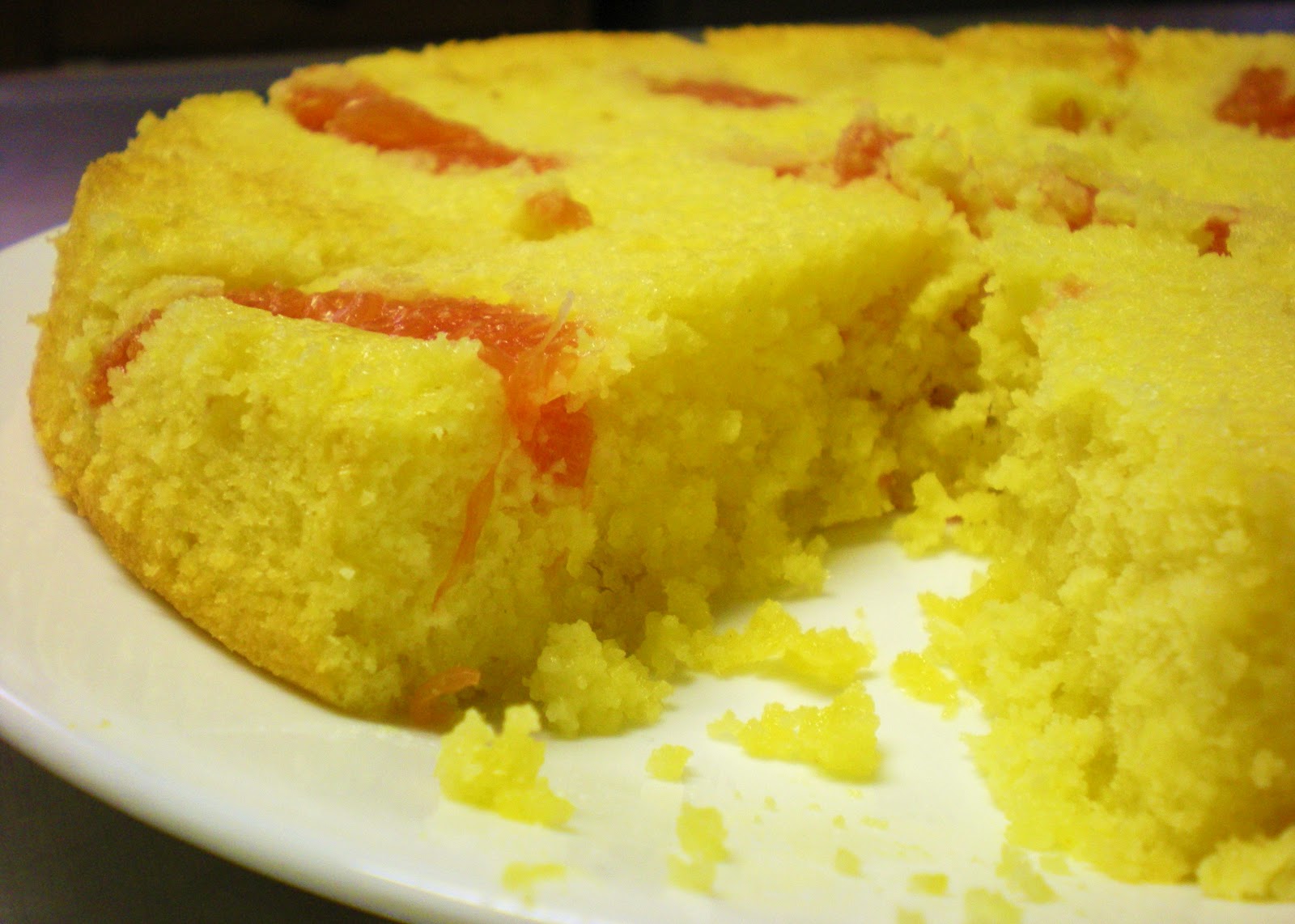 Birds & Brownies: A Long Delay and Cheater Cake