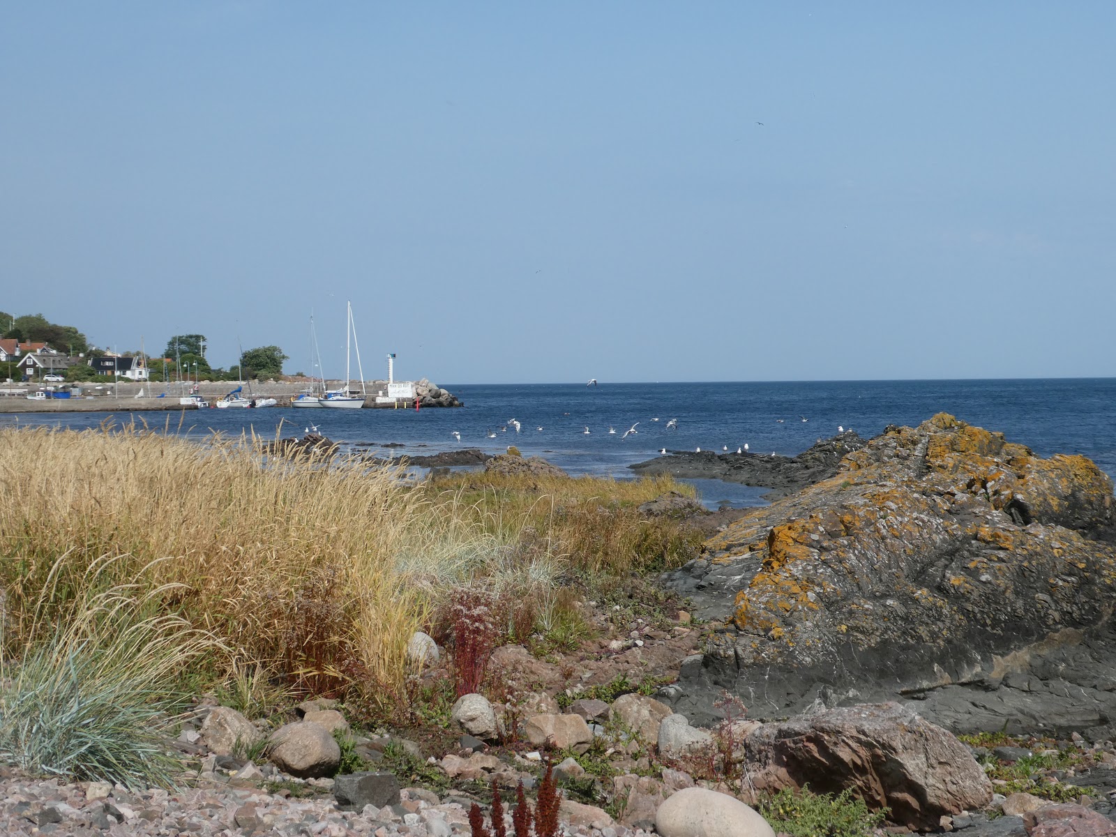 Skånska Resor: Bilder från Arild