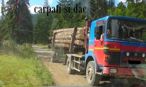 Carpați și Dac: Camioane