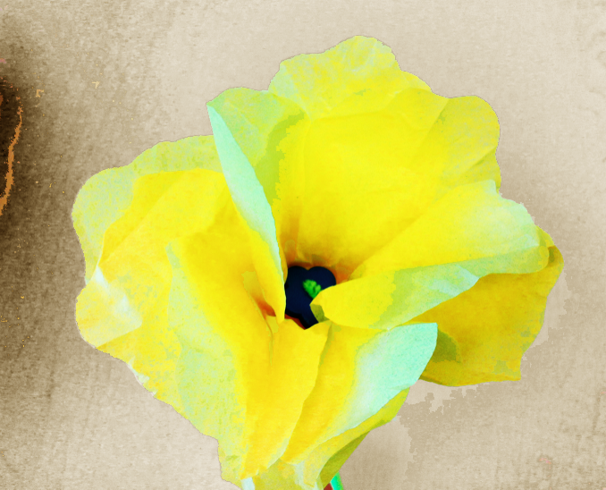 Tissue Flowers Art Tutorial - Whimsy Workshop Teaching