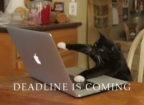 I Have Seen The Whole Of The Internet: Deadline Is Coming