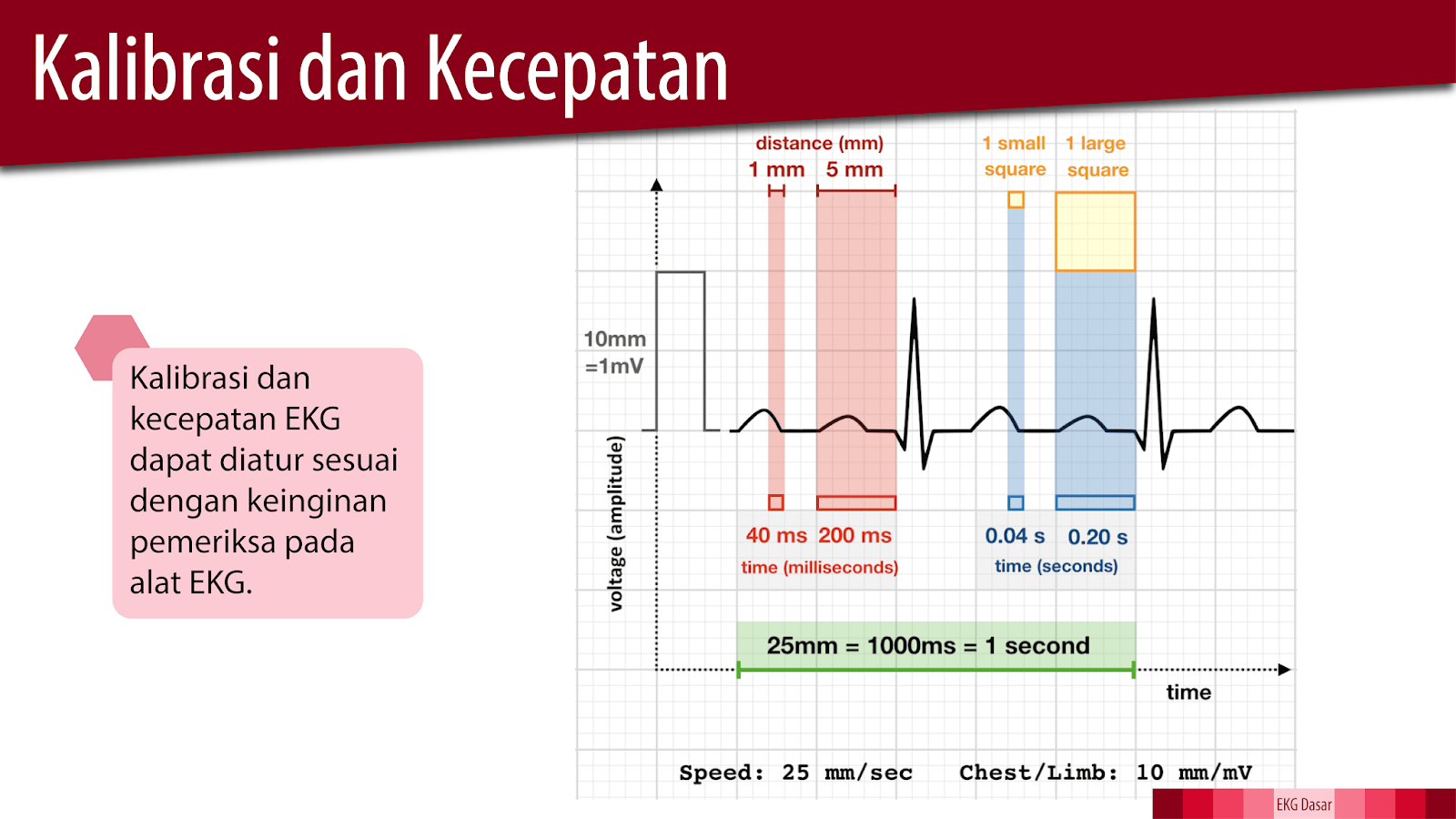 EKG Dasar; Workshop EKG | Dokter Alfa : Belajar Kedokteran