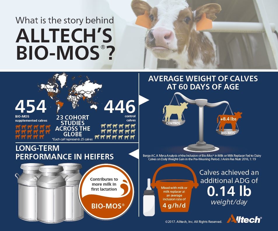 The Global Miller: 14/06/2017: Bio-Mos® plus milk equals daily weight ...