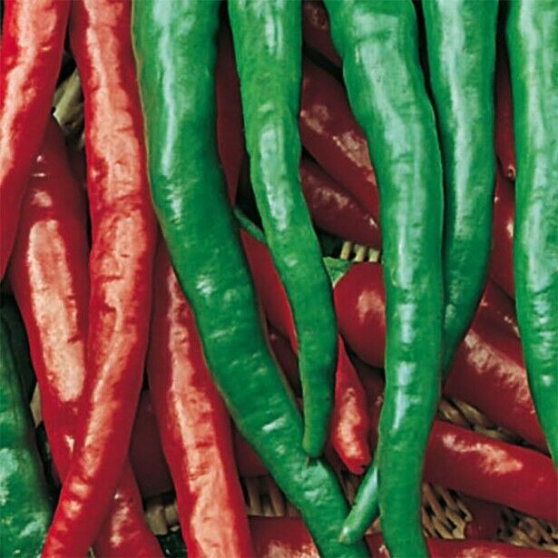 Piments et échelle de Scoville