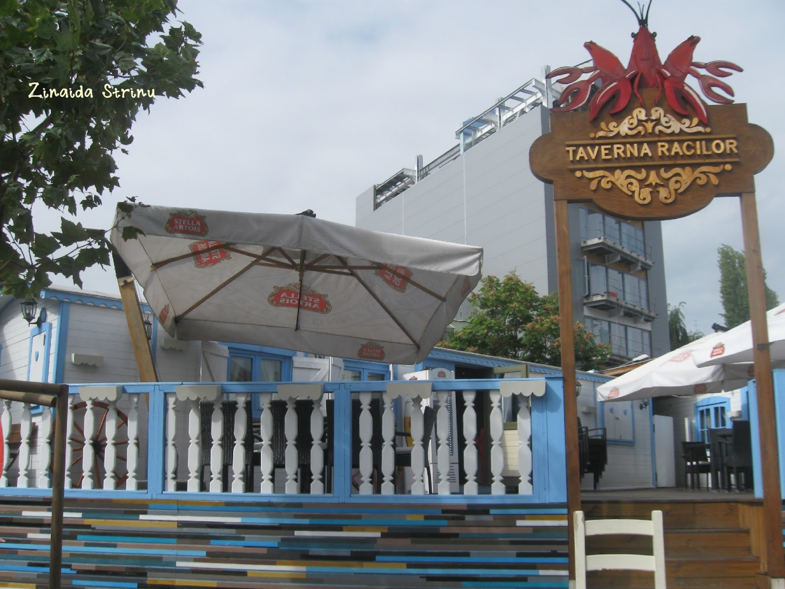 Zinnaida : Taverna Racilor