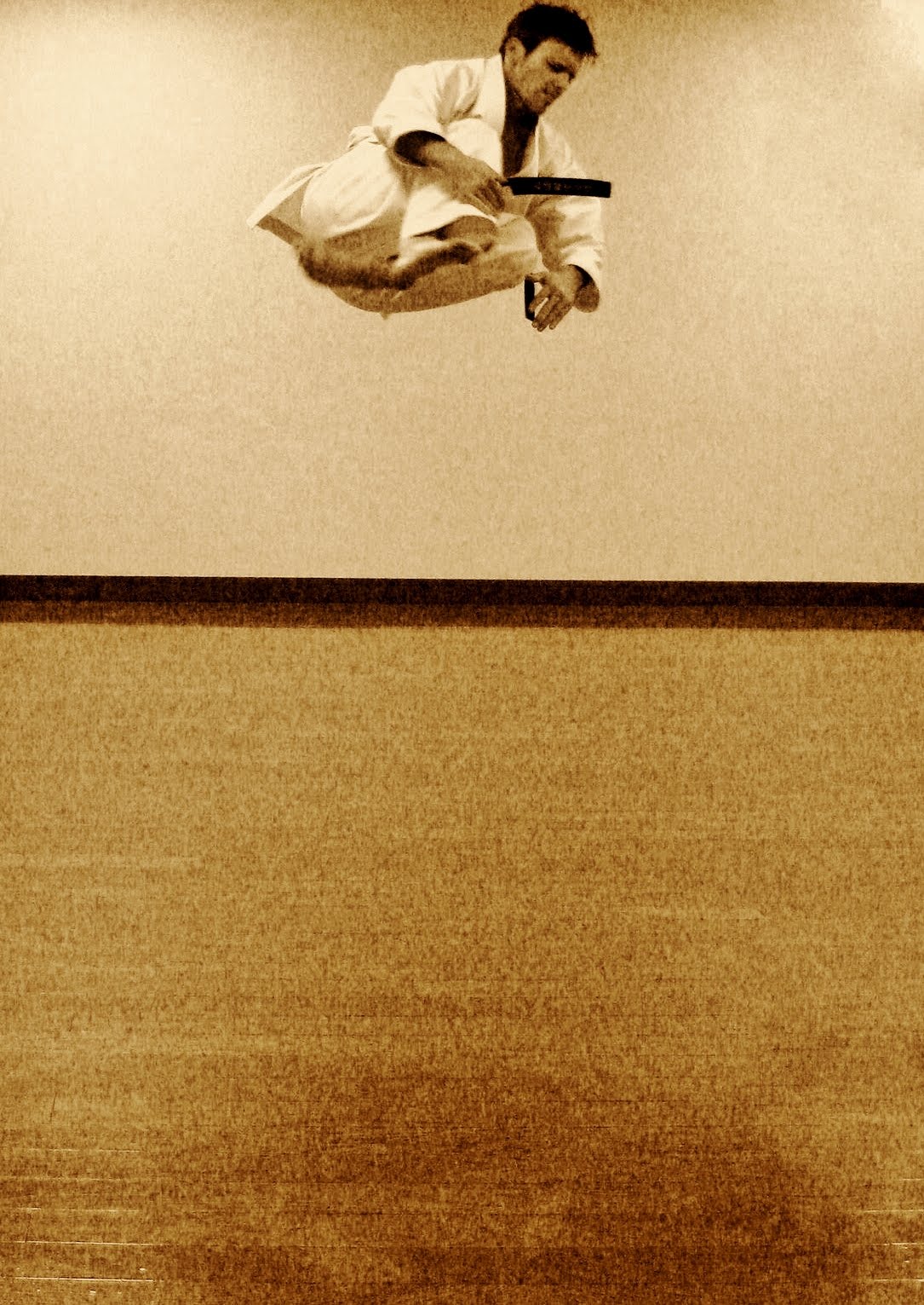 André Bertel's Karate-Do: KIHON IPPON KUMITE