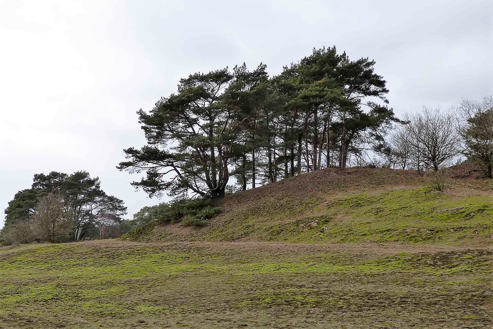 Mooiste Routes: Wandelen bij Harskamp (Gelderland)