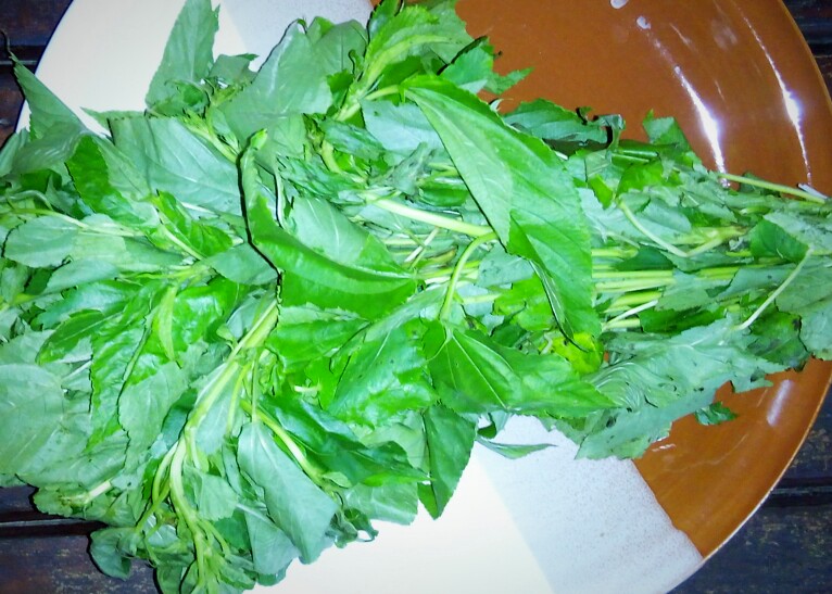 EWEDU (JUTE) LEAVES: USES, BENEFITS AND PREPARATION