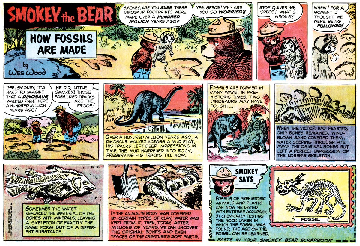 Stripper's Guide: Obscurity of the Day: Smokey the Bear