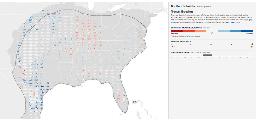 The Future of Birds: Bobwhite: what's happening to their population
